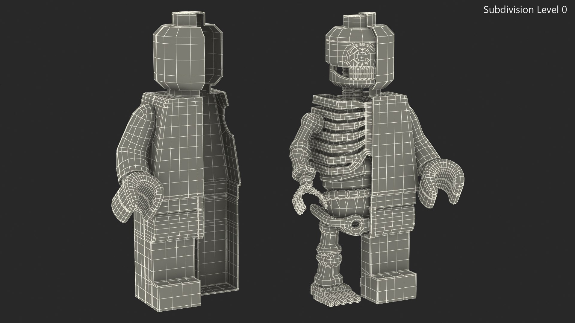 Anatomical LEGO Man Glass Half 3D model - TurboSquid 1820859