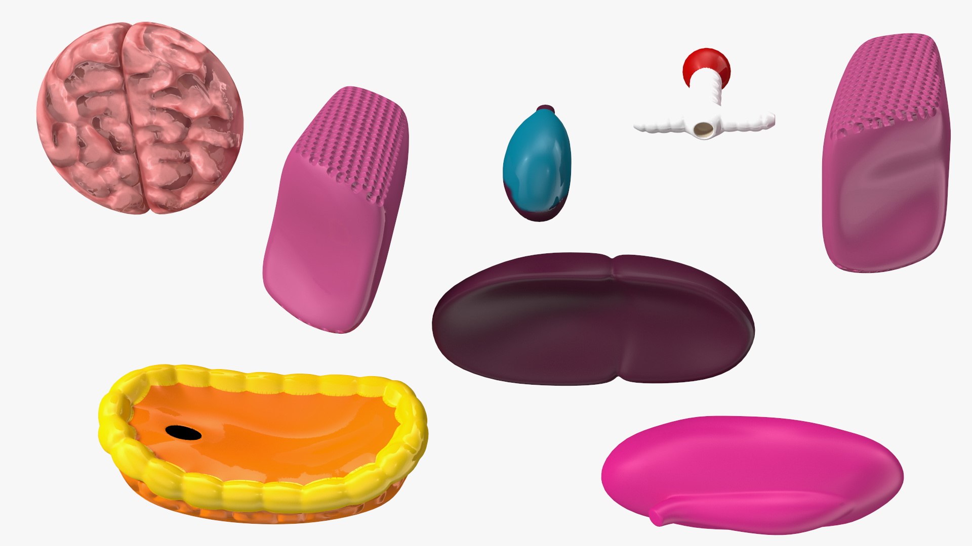 Anatomical LEGO Man Glass Half 3D Model - TurboSquid 1820859