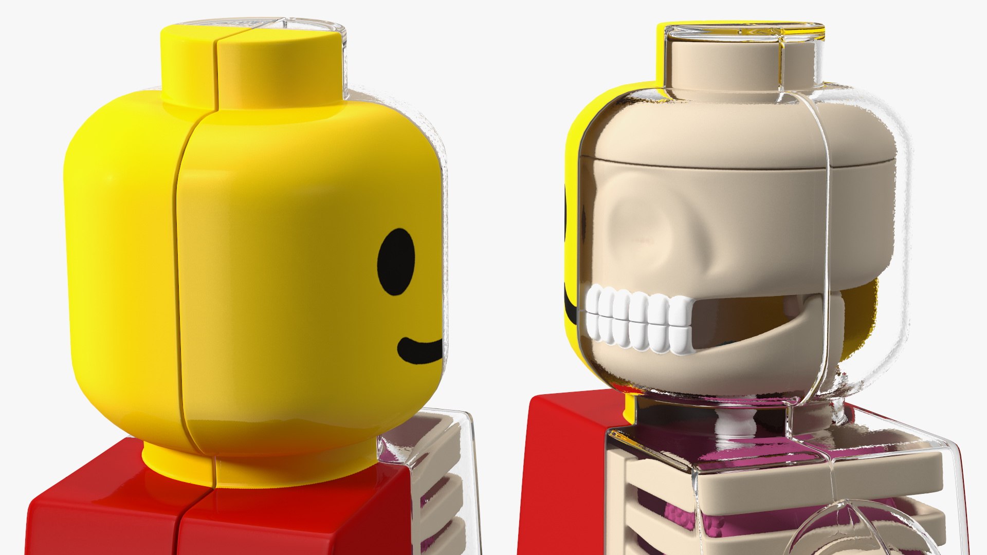 Anatomical LEGO Man Glass Half 3D Model - TurboSquid 1820859