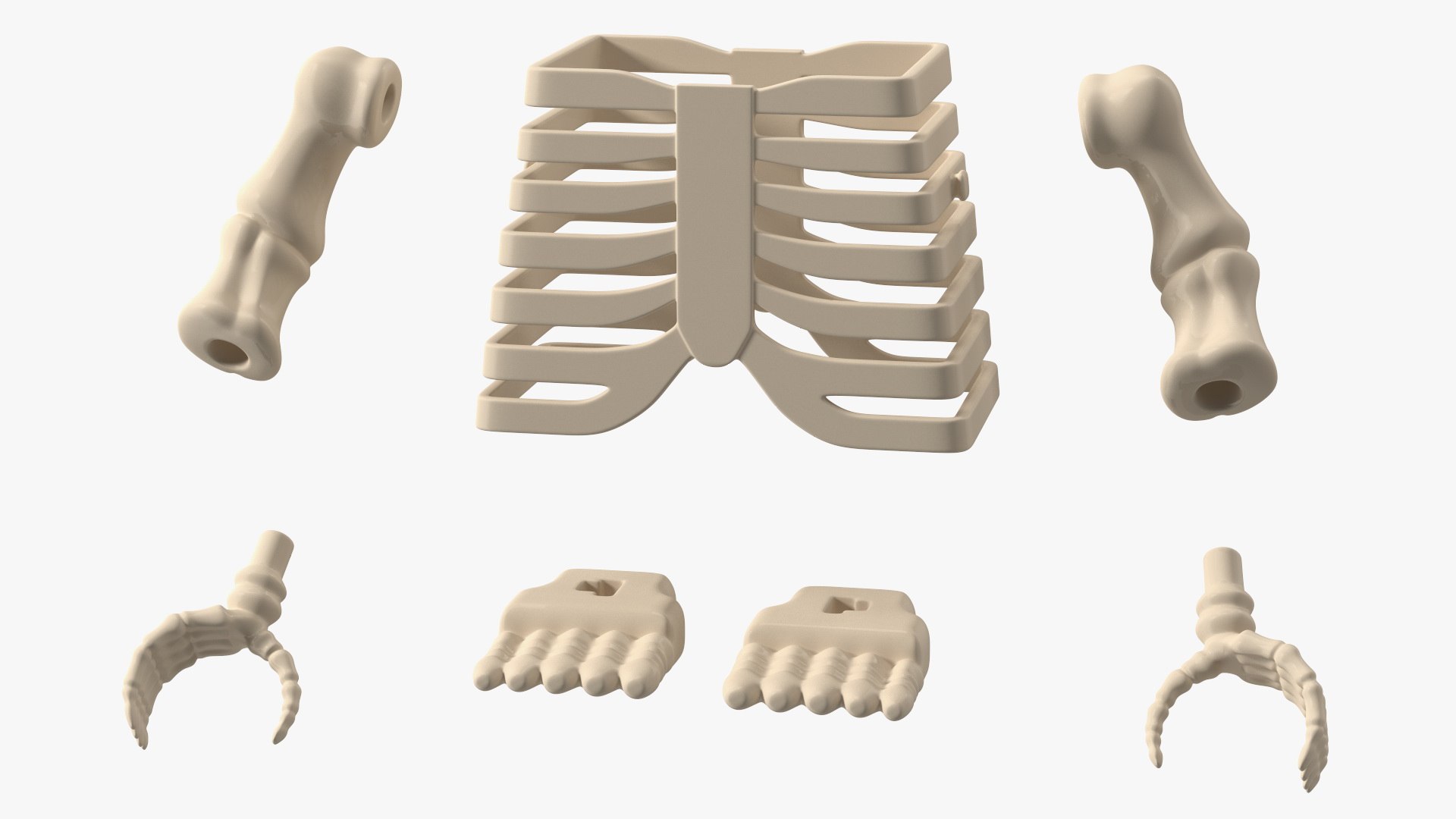 Anatomical LEGO Man Glass Half 3D Model - TurboSquid 1820859