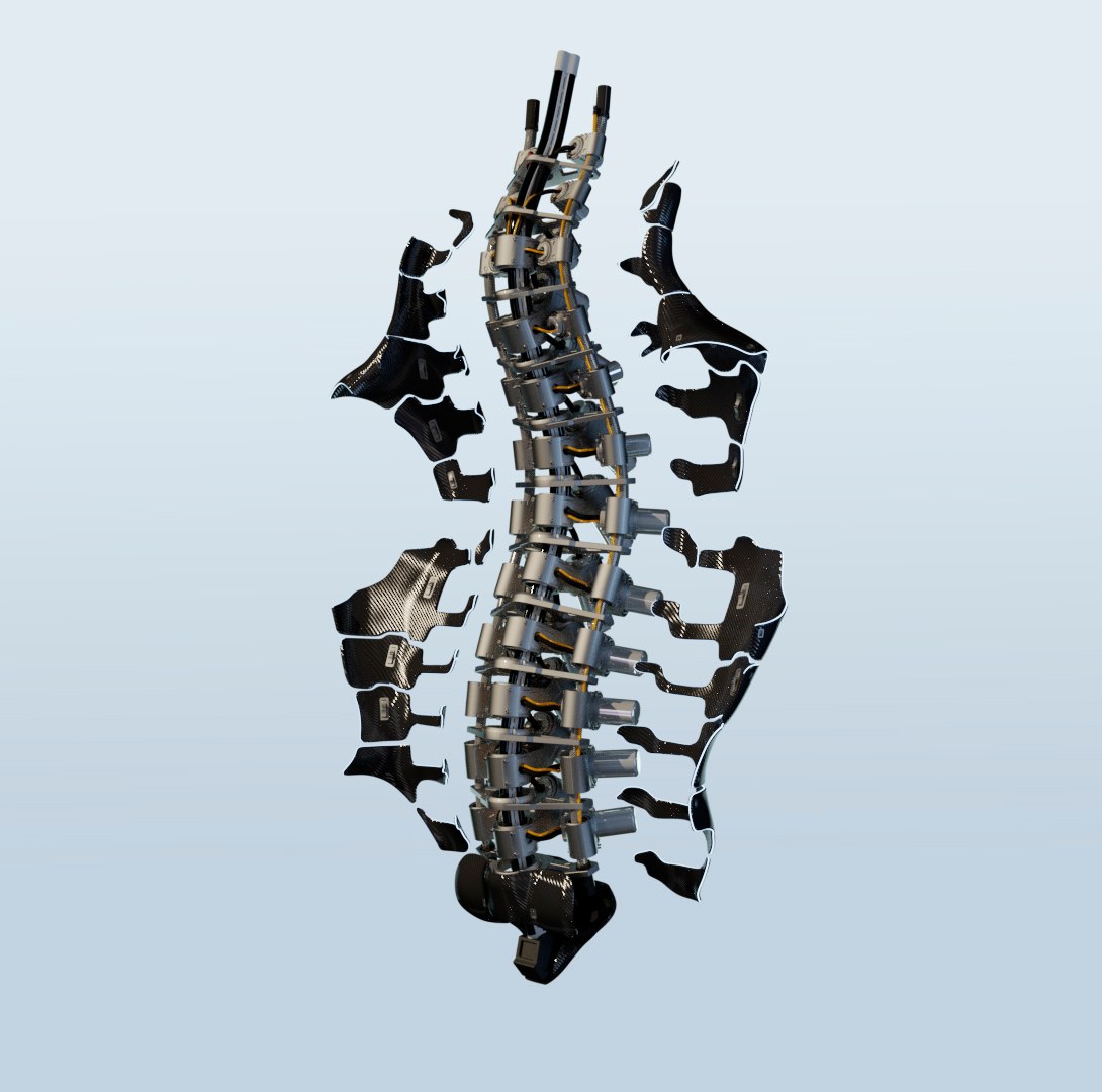 3D Spine Mechanical 01 - TurboSquid 1550466