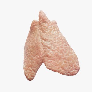 Gross Anatomy 3D Models for Download | TurboSquid