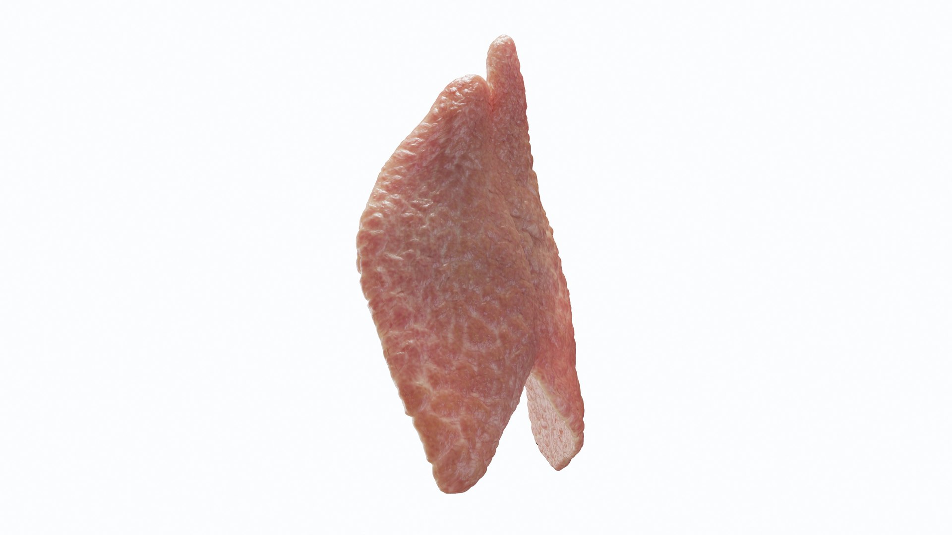 Human Thymus 3D Model - TurboSquid 2188588