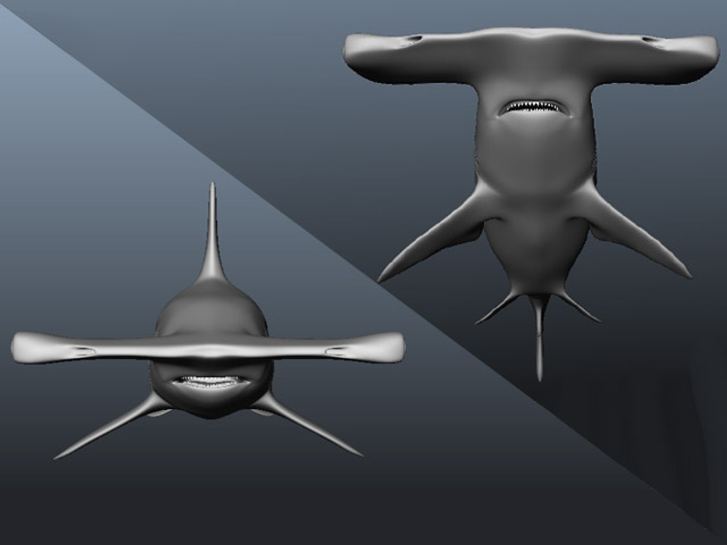 Hammerhead Modelling 3d Model