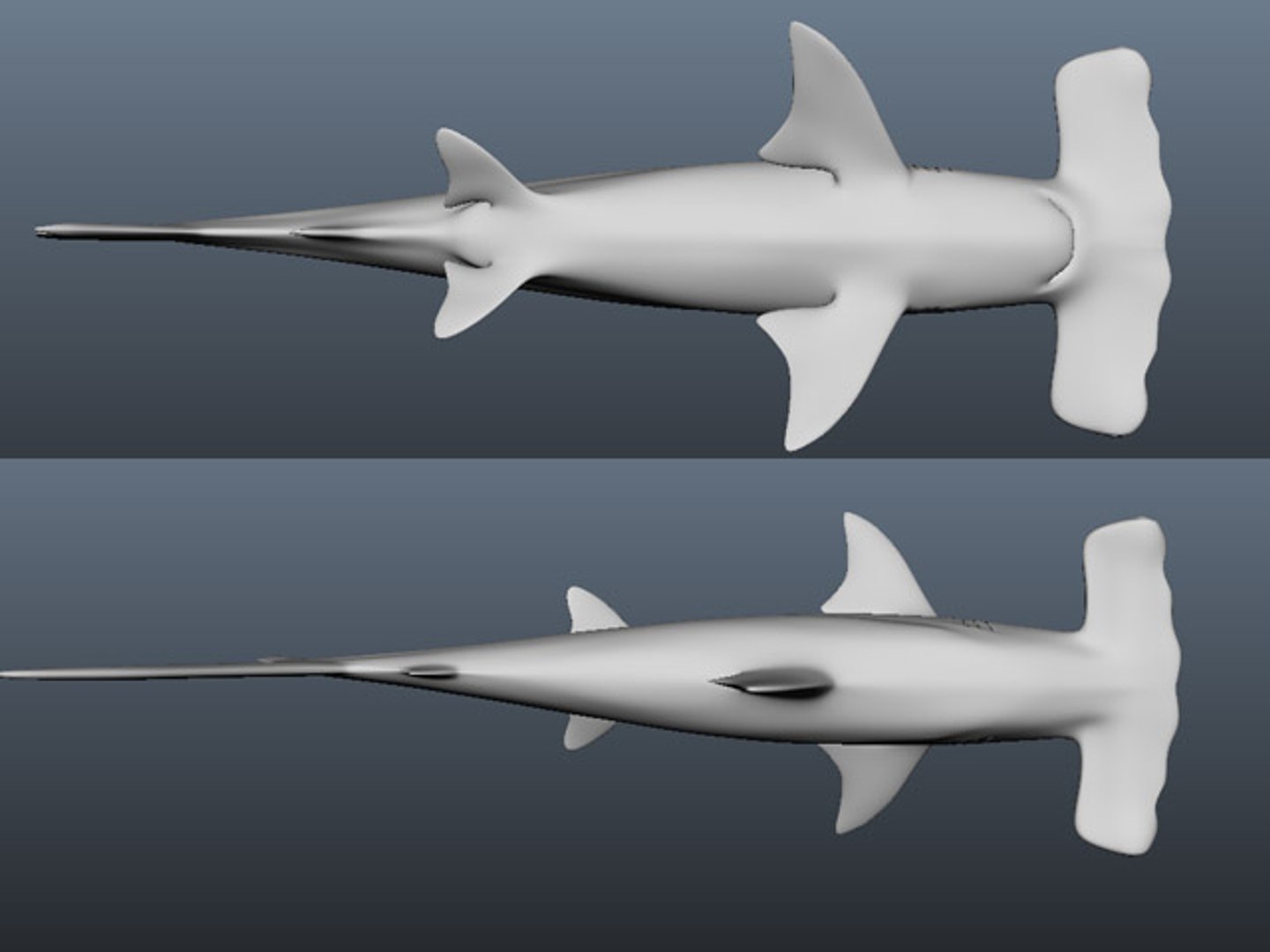 Hammerhead Modelling 3d Model