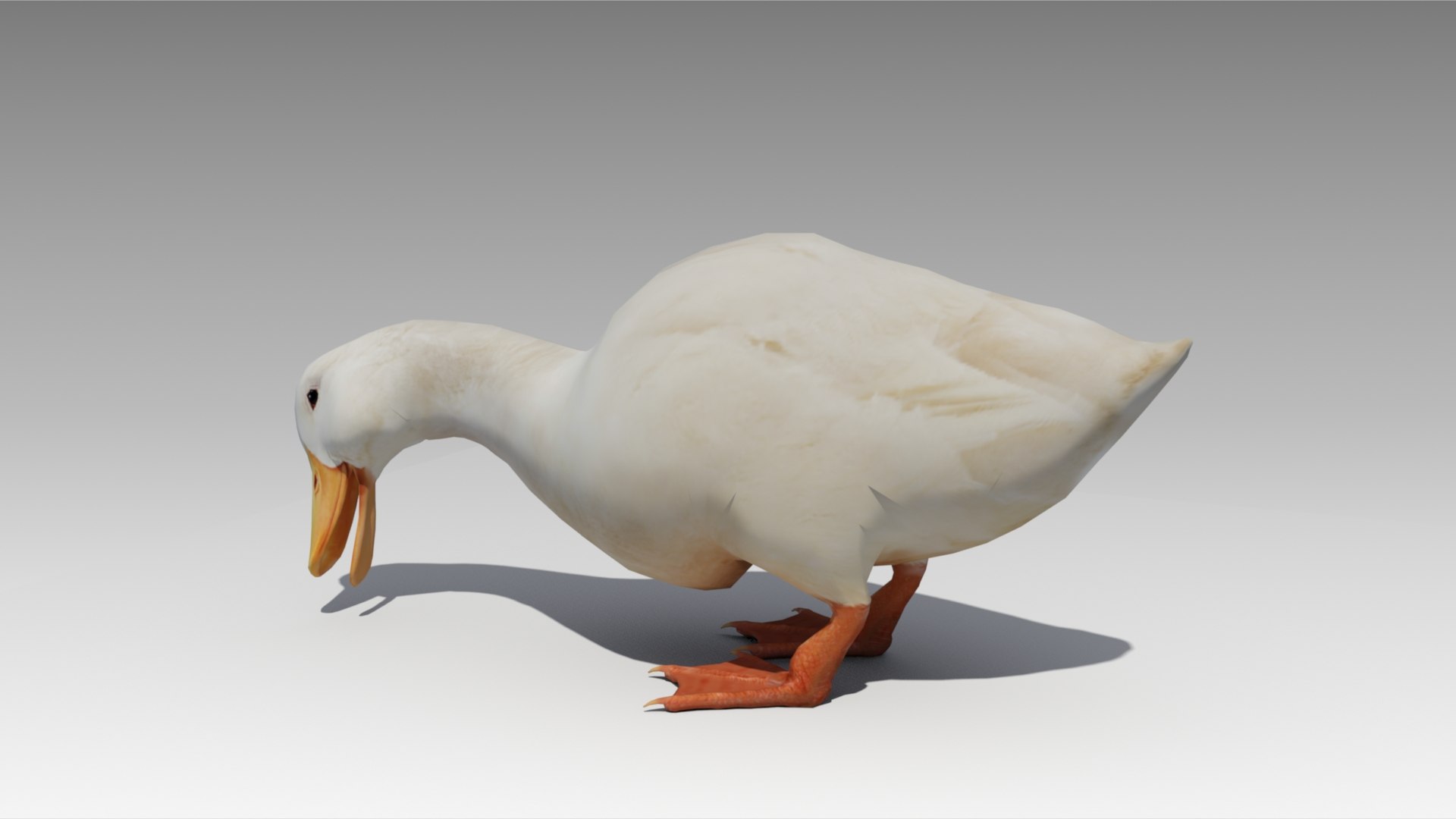 Animations Duck Max
