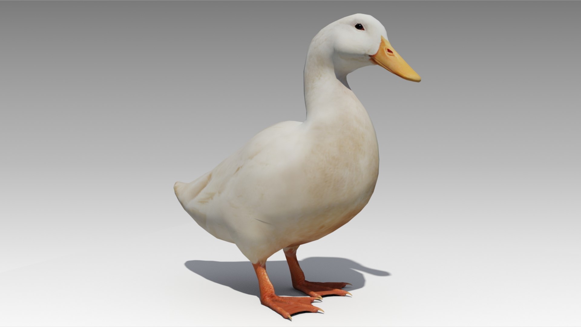 Animations Duck Max