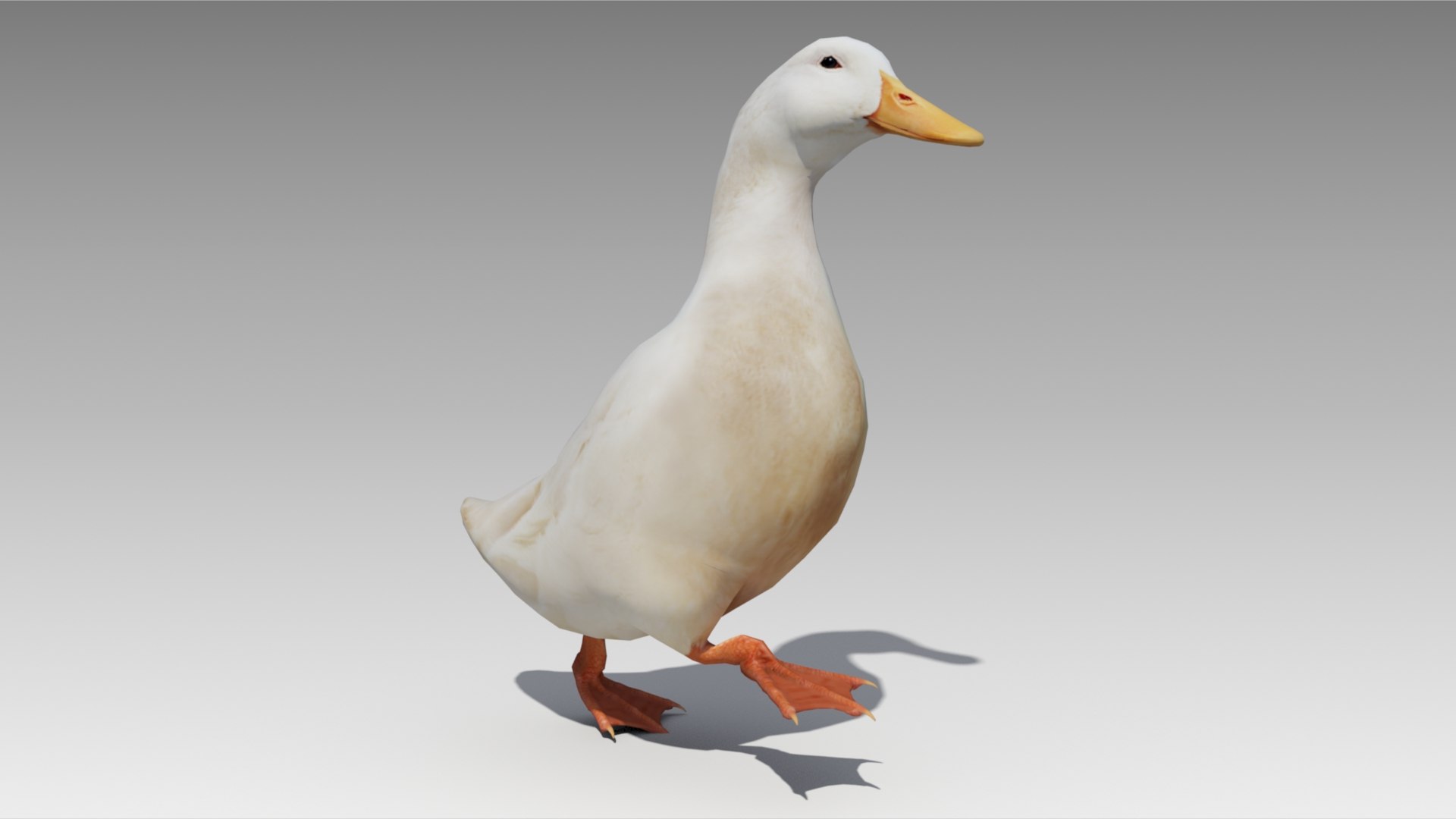 Animations Duck Max
