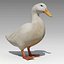 Animations Duck Max