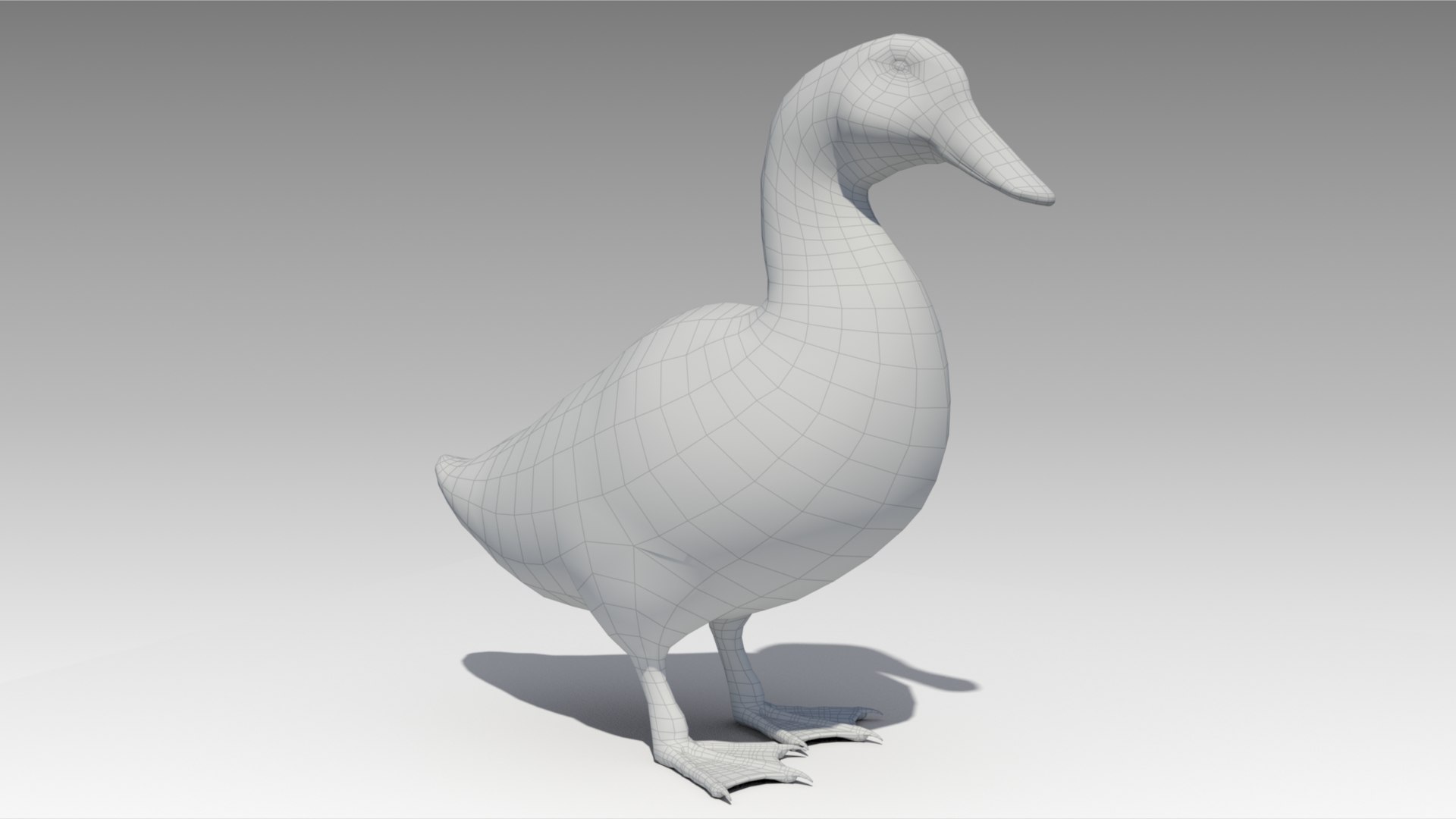 Animations Duck Max