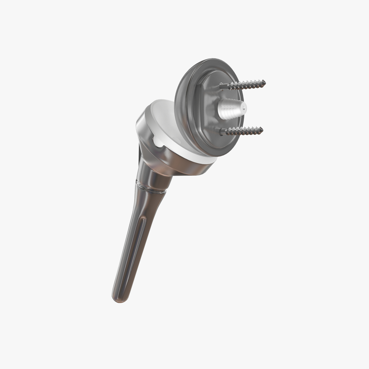 metal prosthesis c4d