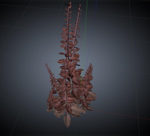 Free Low Poly 3D Bush Models | TurboSquid