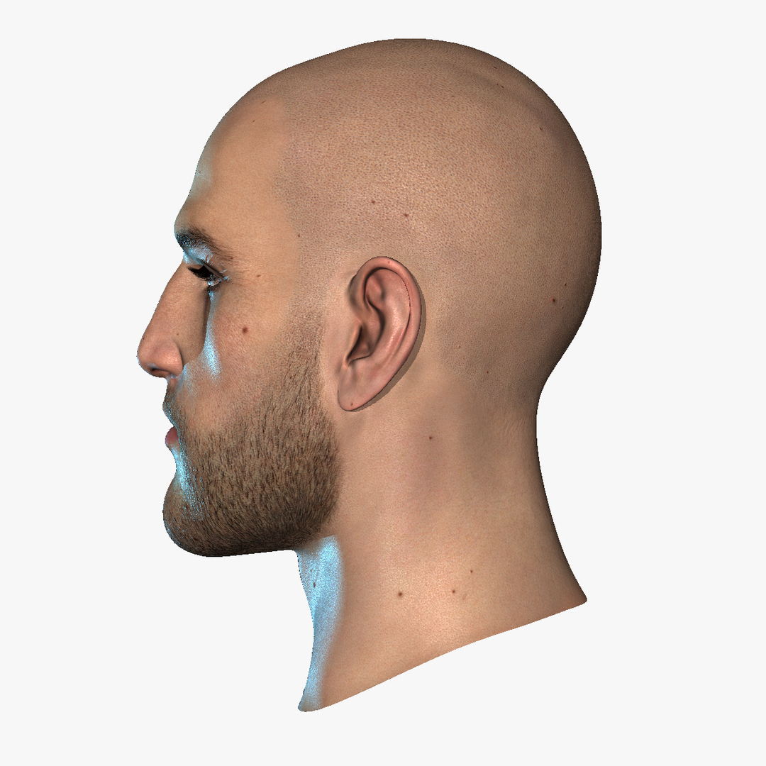 Hairless Male Head Realtime 3d Model