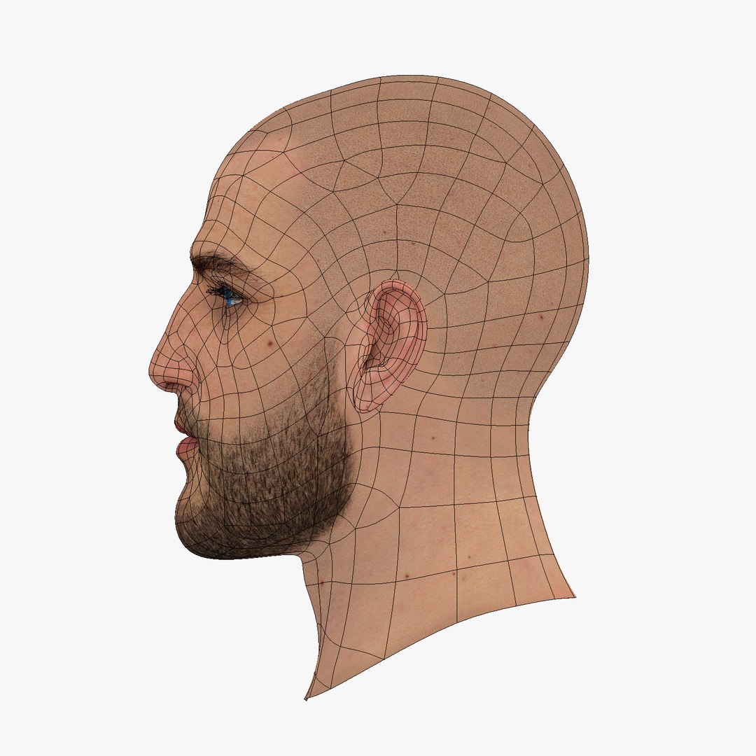 hairless male head realtime 3d model