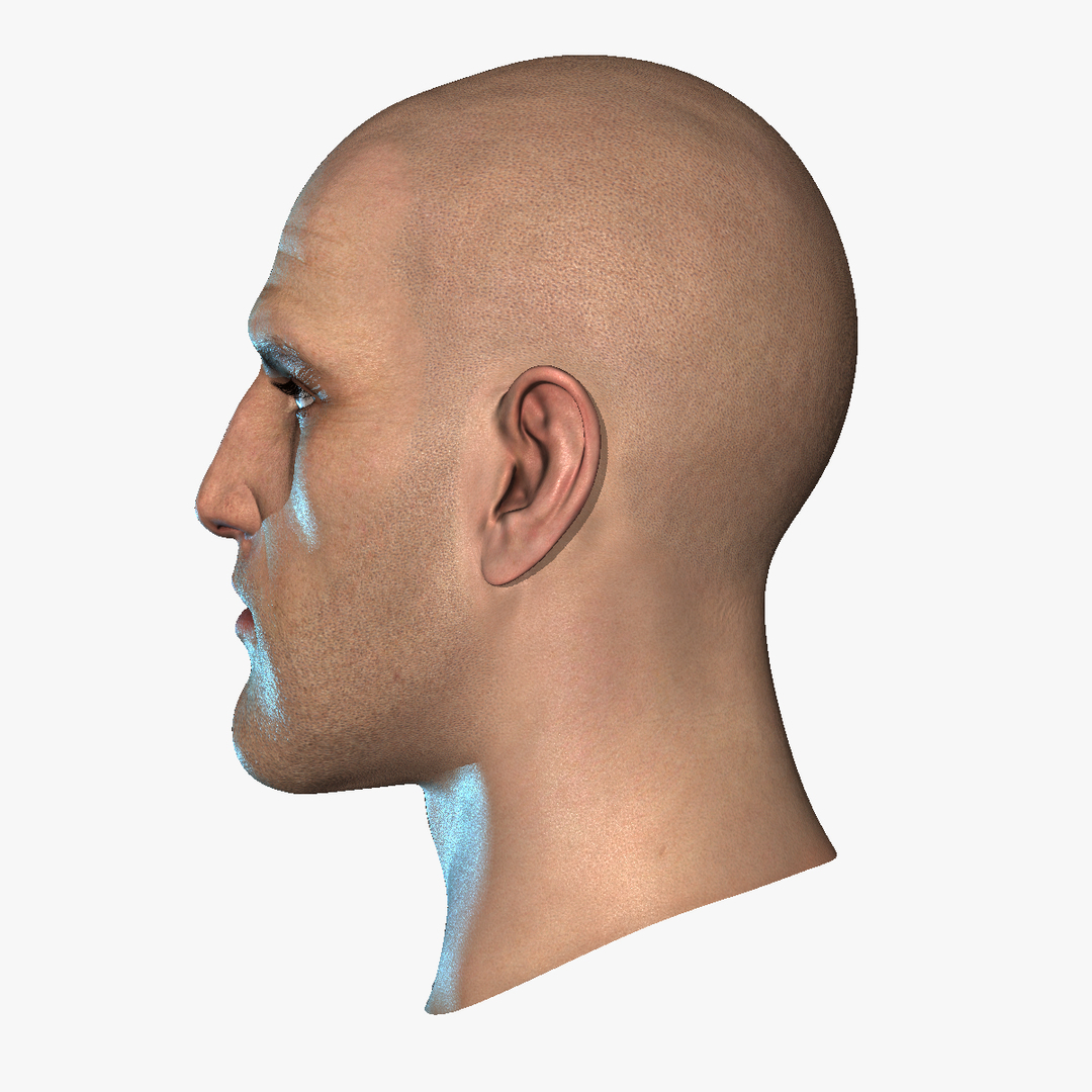 Hairless Male Head Realtime 3d Model