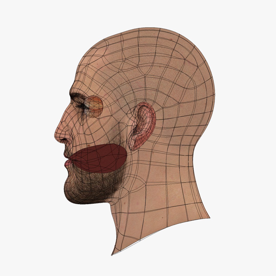 hairless male head realtime 3d model