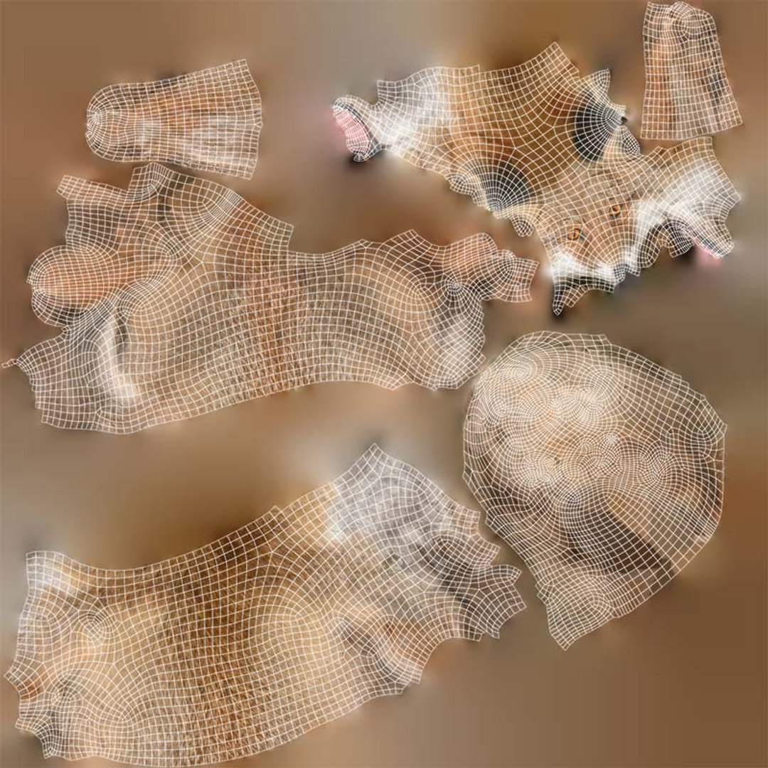 3D Fox Vulpes Vulpes Remastered Model - TurboSquid 2359804