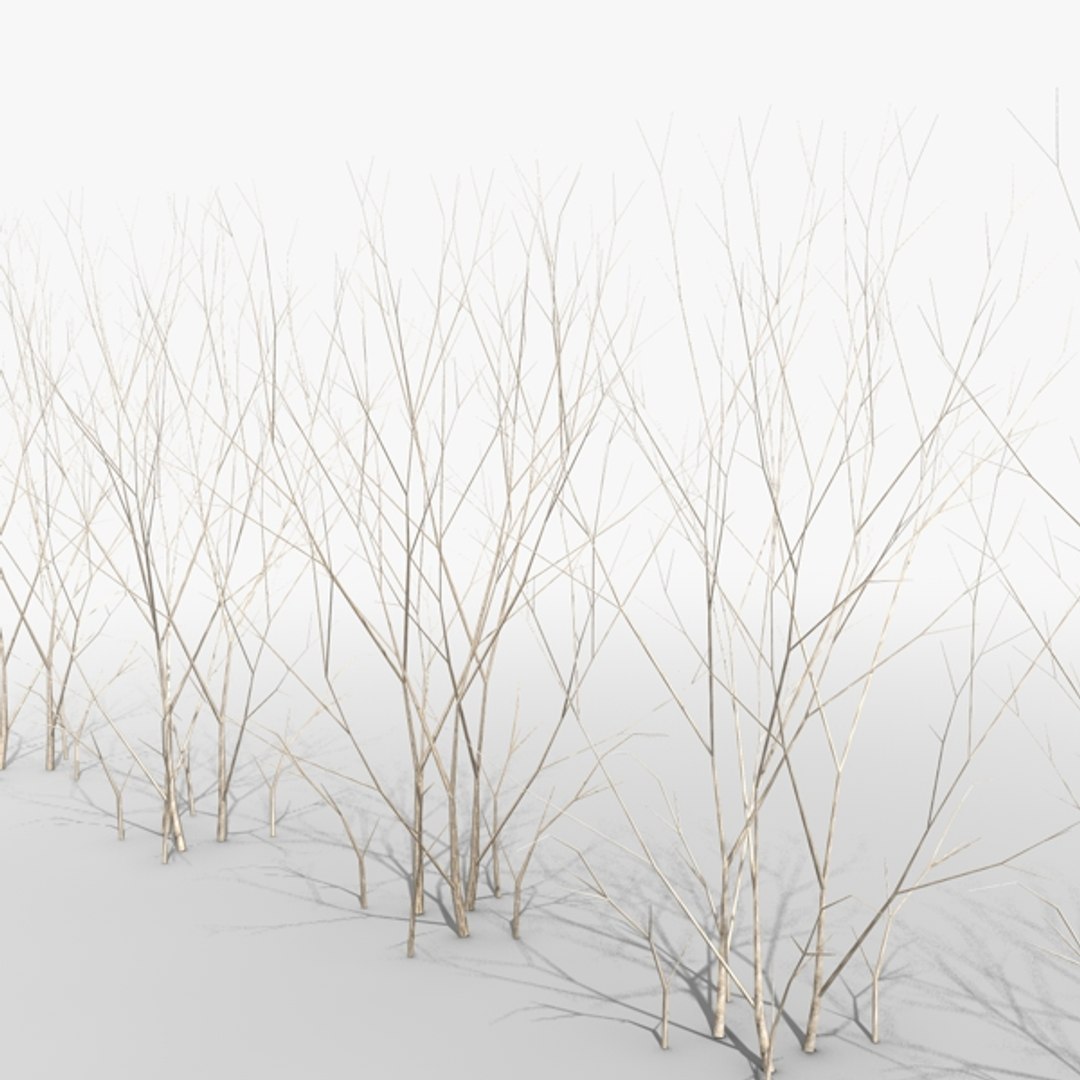 3d crowded copper beech hedge