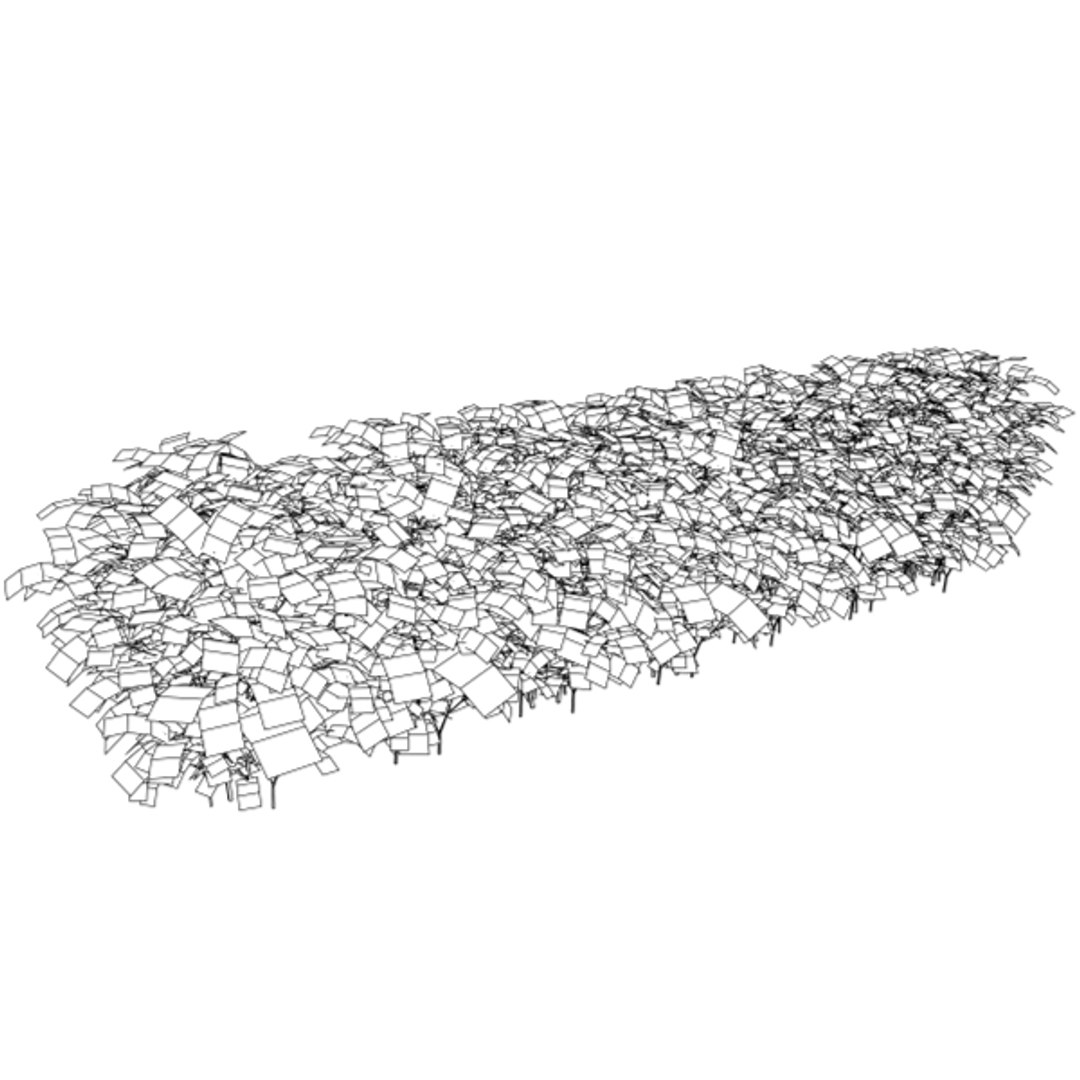 3d crowded copper beech hedge