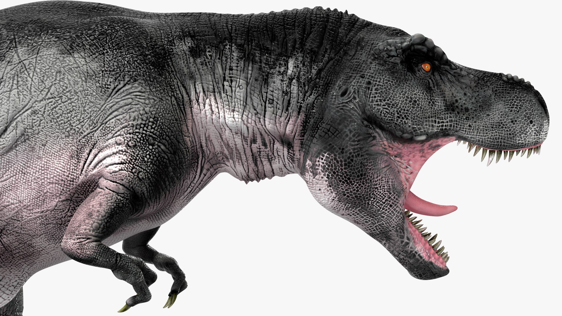 T Rex Roar Pose 3D model - TurboSquid 2099257