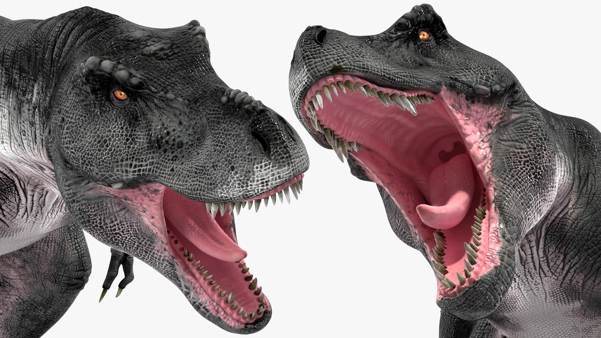 T Rex Roar Pose 3D Model - TurboSquid 2099257