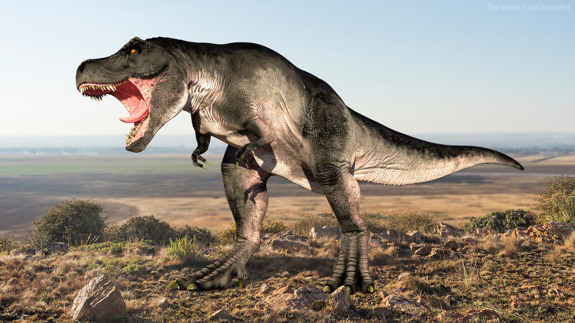 T Rex Roar Pose 3D model - TurboSquid 2099257