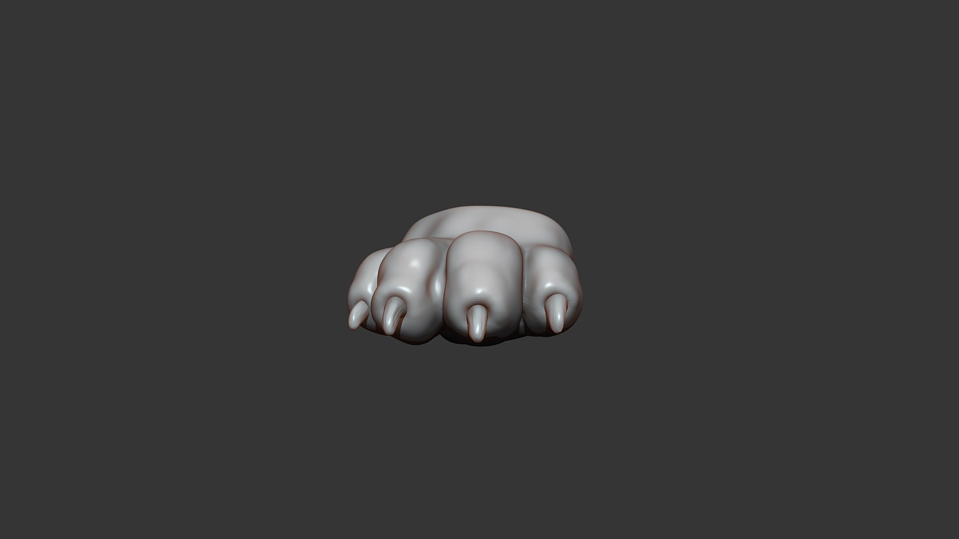 Dog Puppy Paw Highpoly Sculpt Model - TurboSquid 1818440