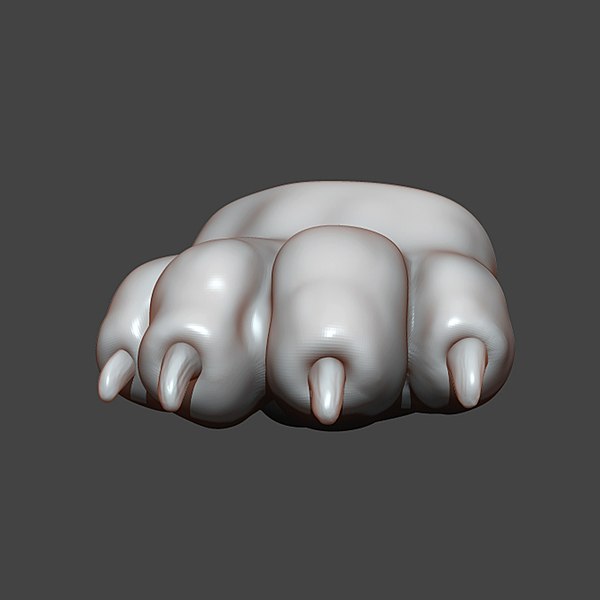 Dog Puppy Paw Highpoly Sculpt model - TurboSquid 1818440