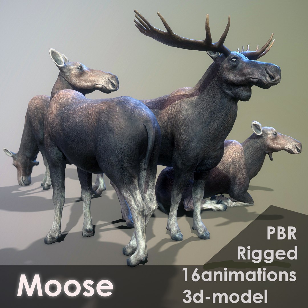3D Moose - TurboSquid 1883100