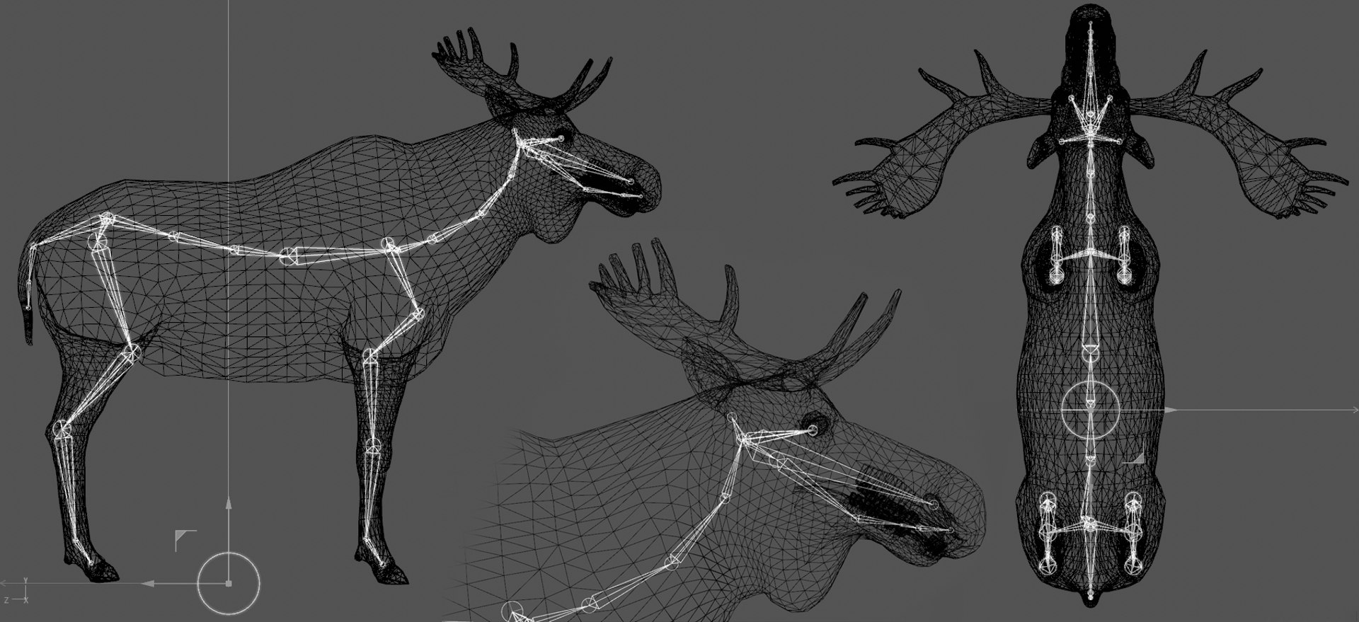 3D Moose - TurboSquid 1883100