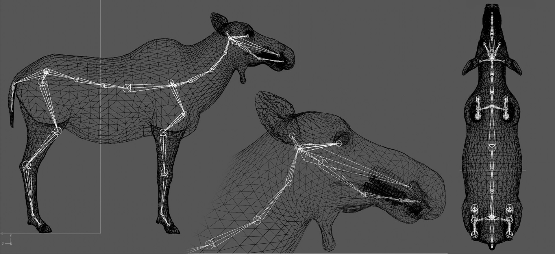 3D Moose - TurboSquid 1883100