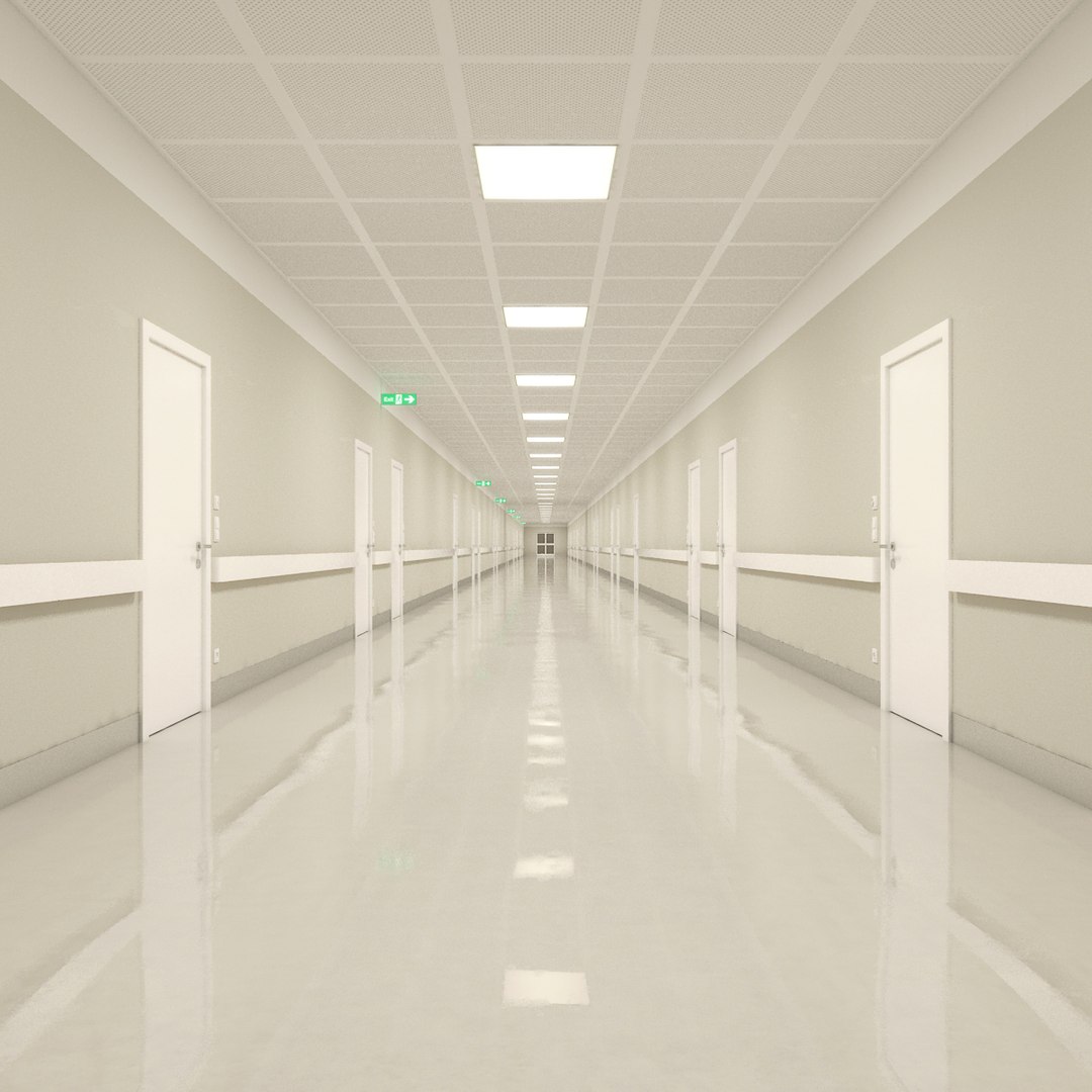 Hallway Realistic 3d Max