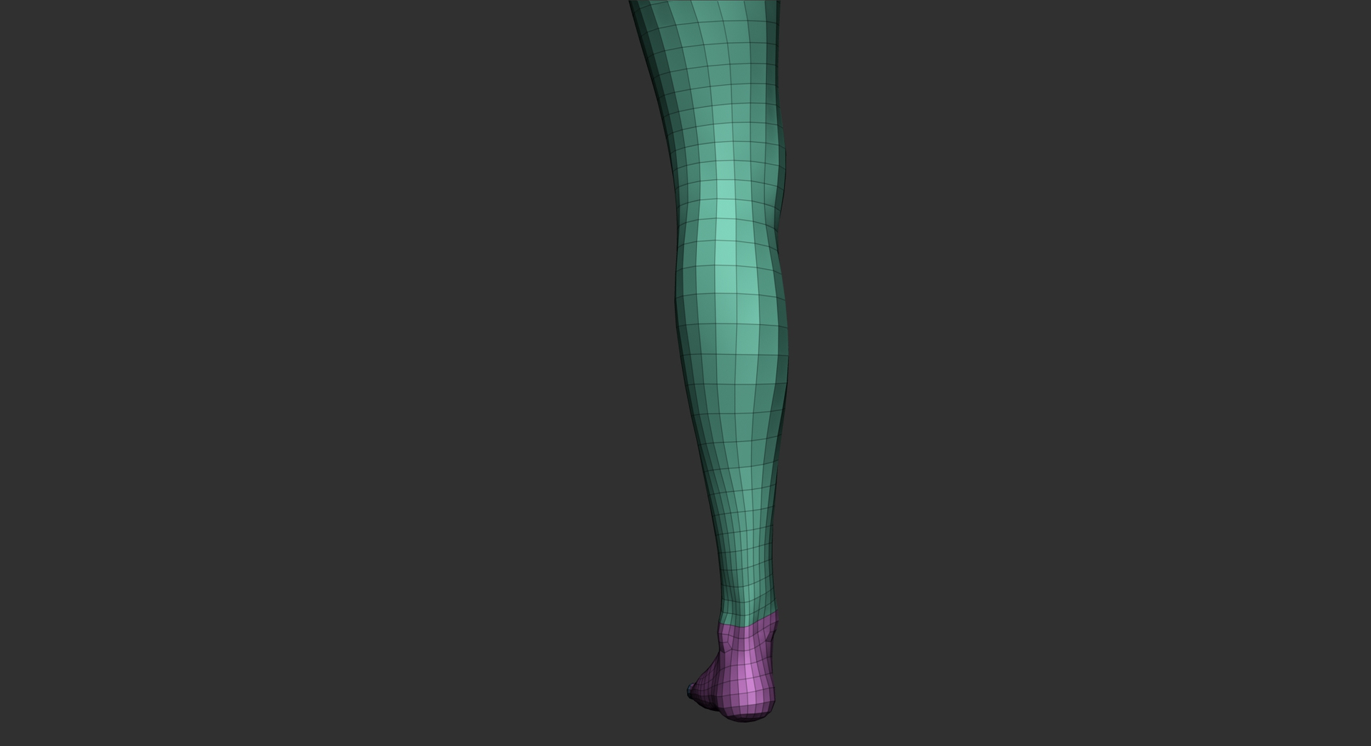 3D leg anatomy science model - TurboSquid 1681377