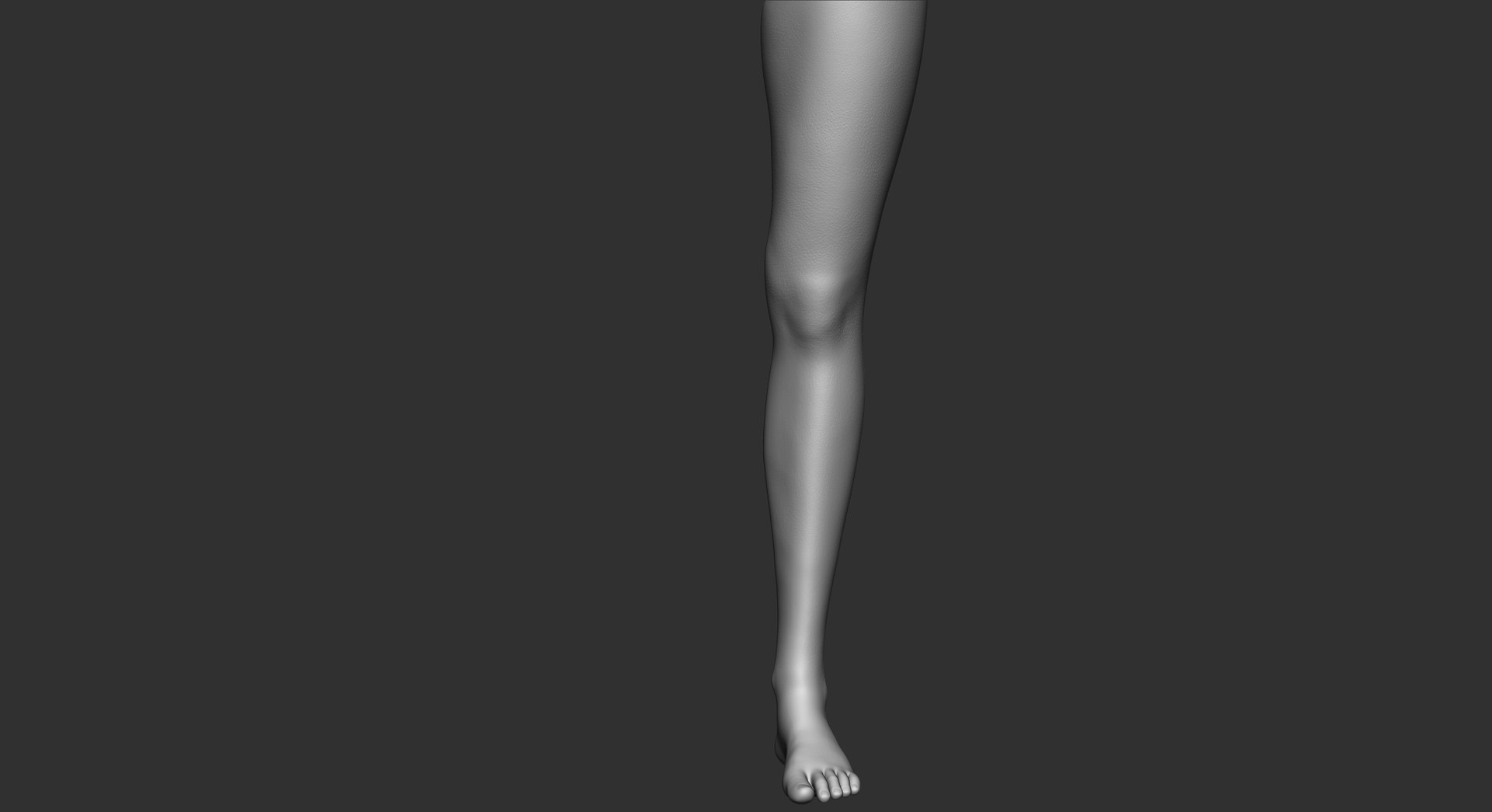 3D Leg Anatomy Science Model - TurboSquid 1681377