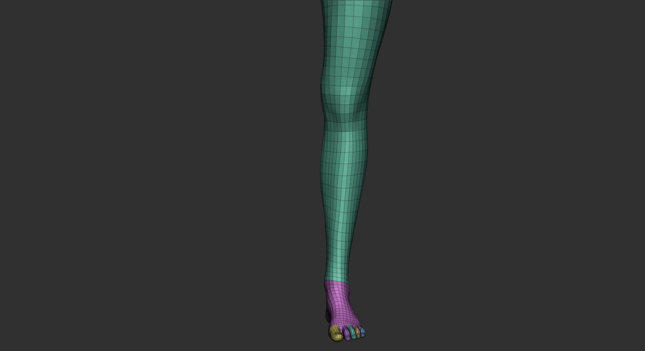 3D leg anatomy science model - TurboSquid 1681377