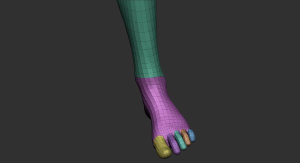 3D leg anatomy science model - TurboSquid 1681377