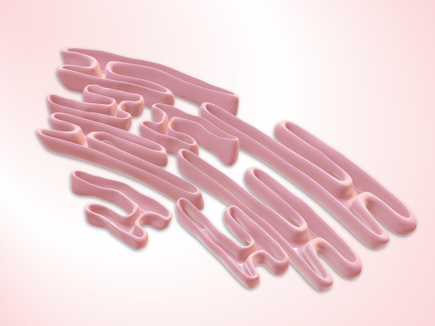 Free 3D Model Smooth Endoplasmic Reticulum - TurboSquid 2265628