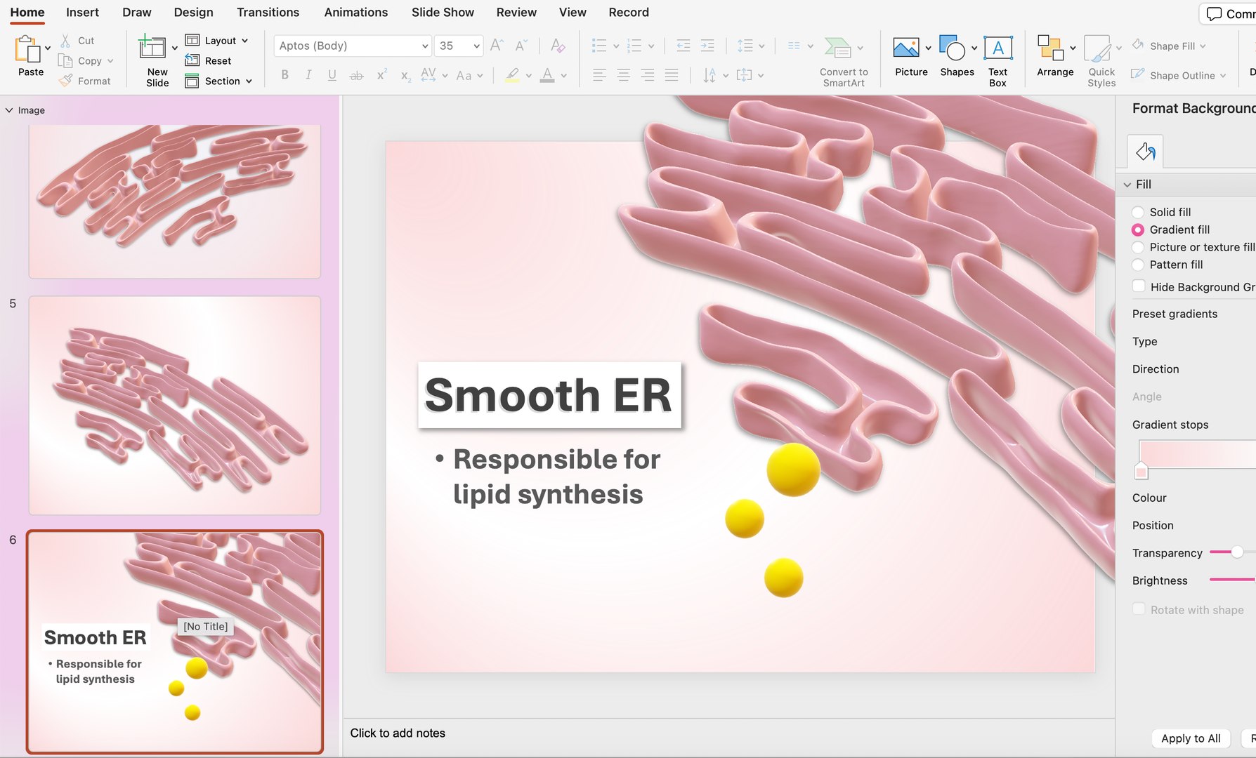 Free 3D Model Smooth Endoplasmic Reticulum - TurboSquid 2265628