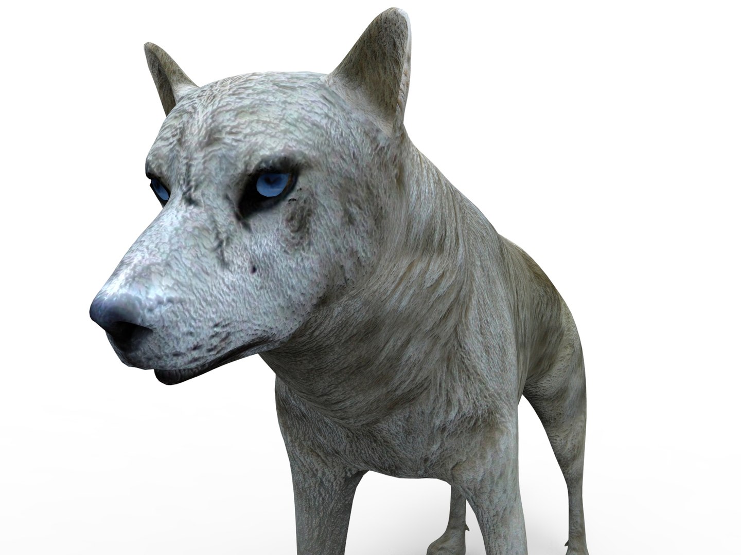 Wolf Rigged Animation 3D Model - TurboSquid 1212515