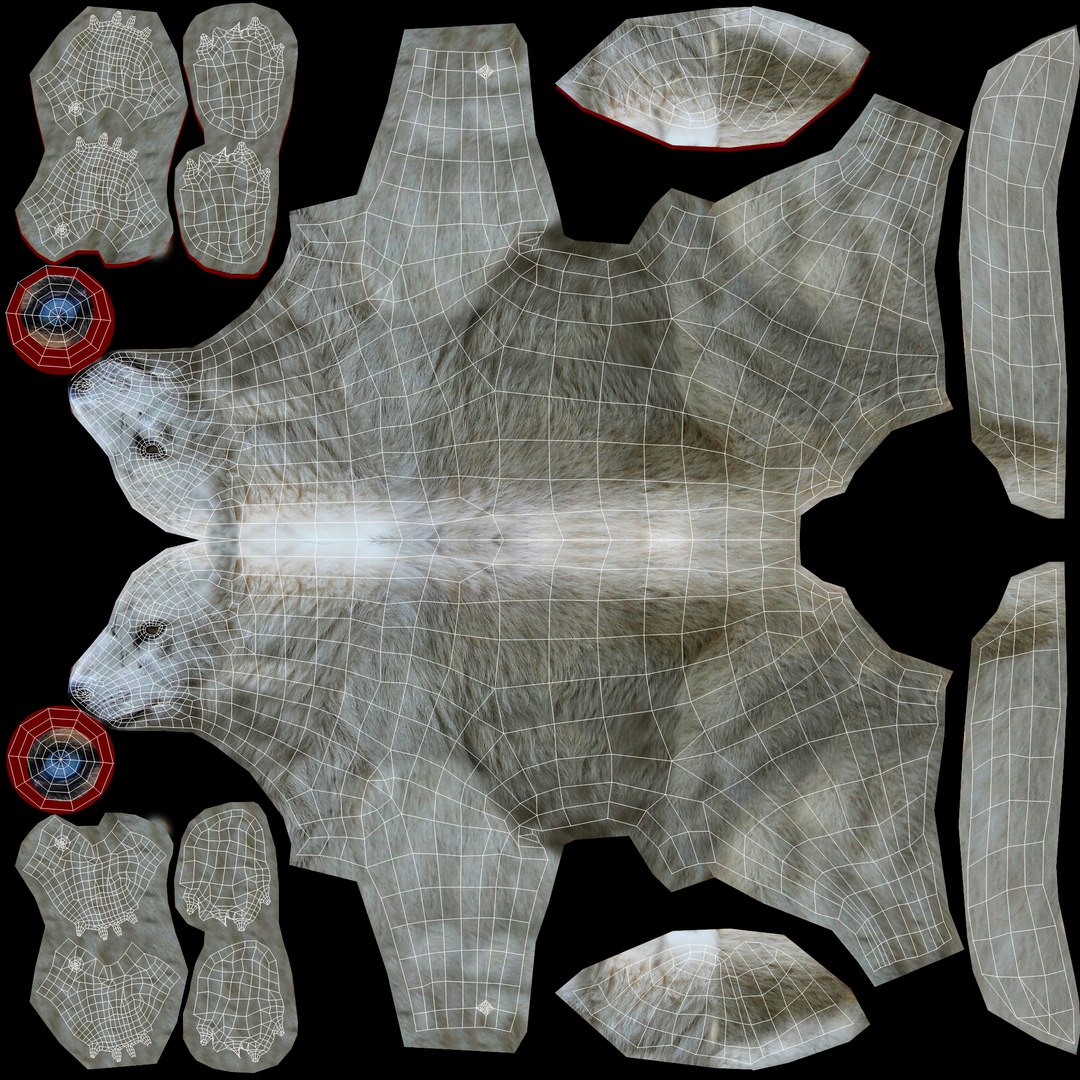 Wolf Rigged Animation 3D Model - TurboSquid 1212515