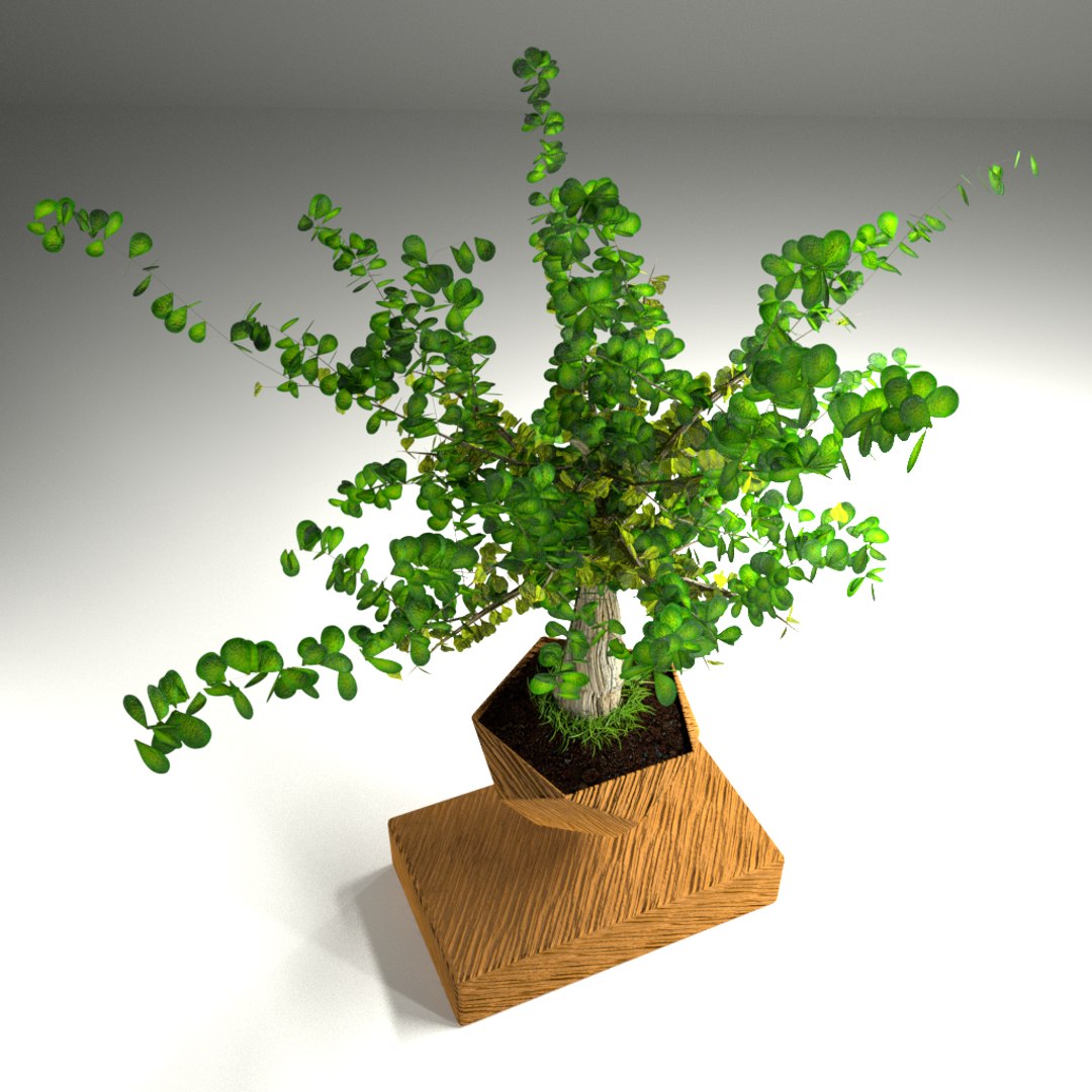 levitating plants 3d model