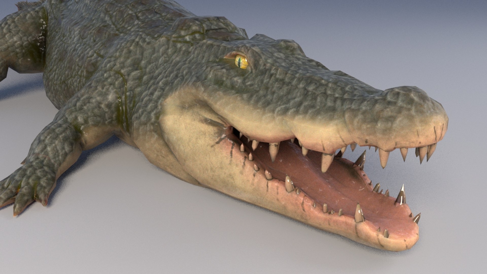 Crocodile Model With Textures 3D Model - TurboSquid 1849852