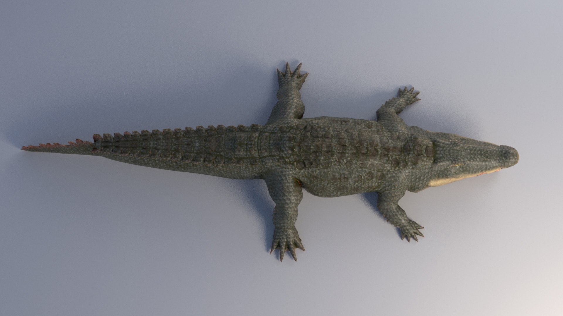 Crocodile Model With Textures 3D Model - TurboSquid 1849852