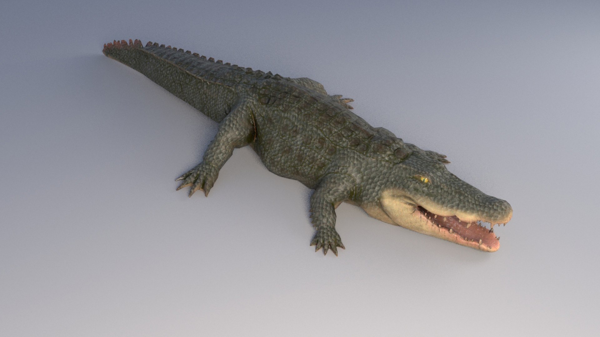 Crocodile Model With Textures 3D Model - TurboSquid 1849852
