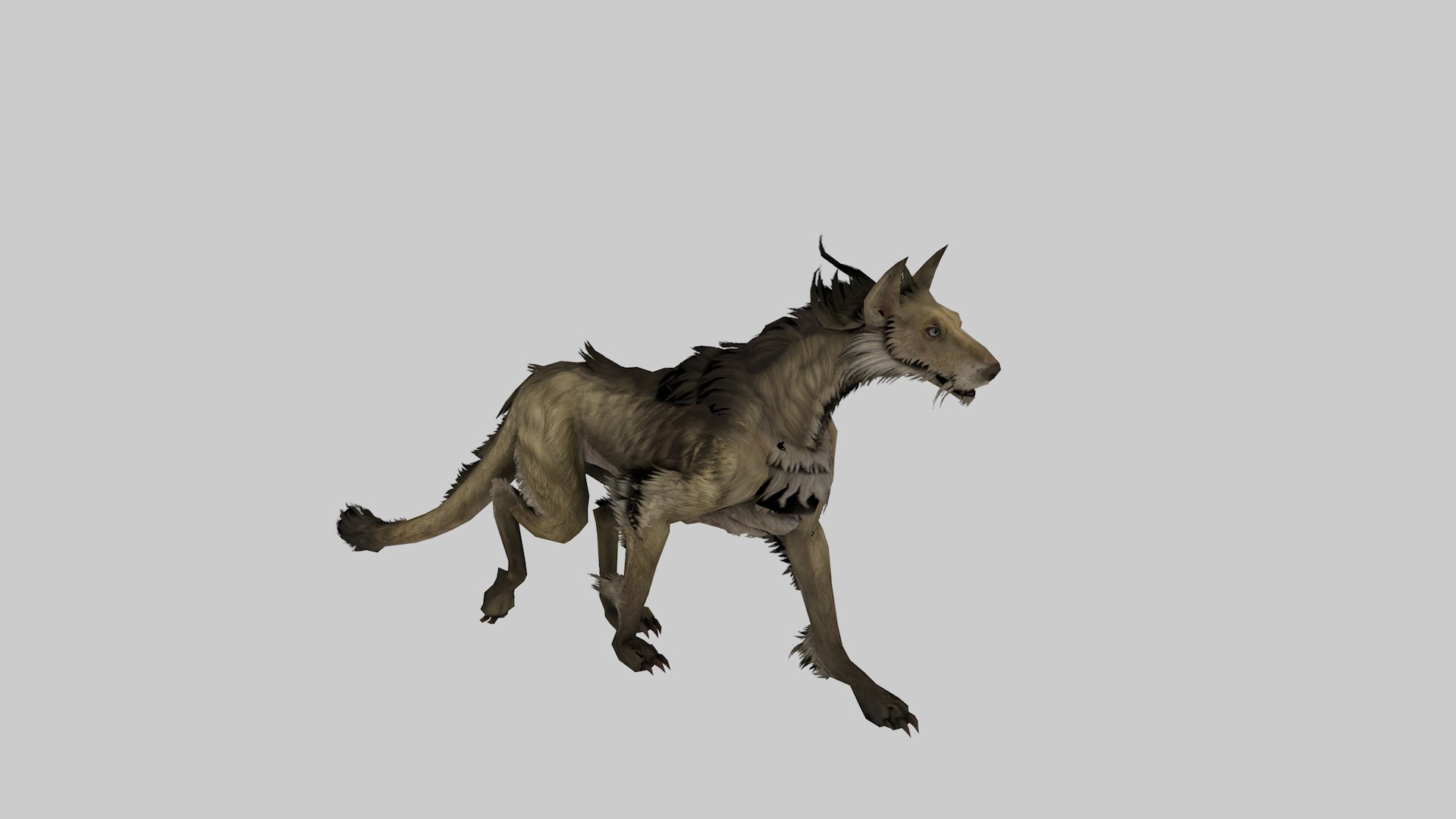 3D Wild Animals Model - TurboSquid 2371931