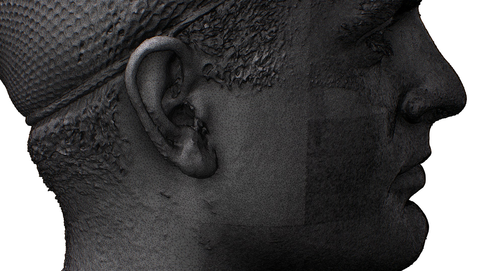 Raw 3D Head Scan Maxton Donaldson 3D Model - TurboSquid 1821476