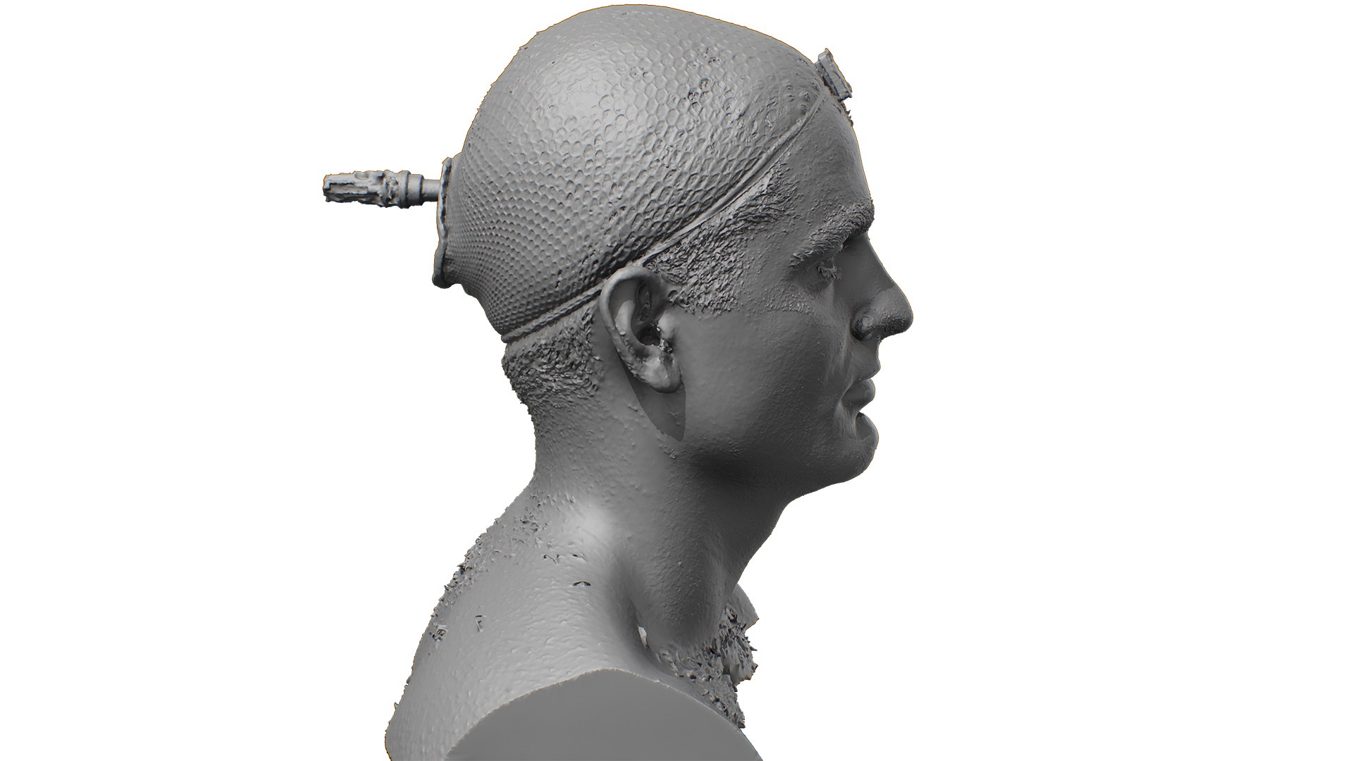 Raw 3D Head Scan Maxton Donaldson 3D Model - TurboSquid 1821476