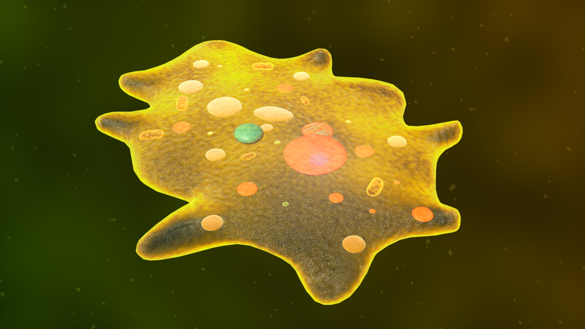 3D Amoeba Unicellular Organism - TurboSquid 2185921