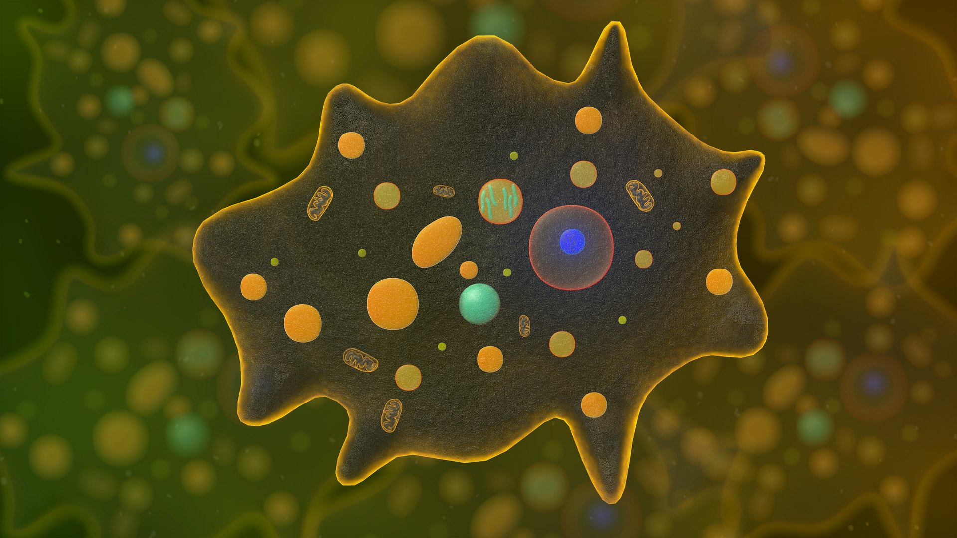 3D Amoeba Unicellular Organism - TurboSquid 2185921