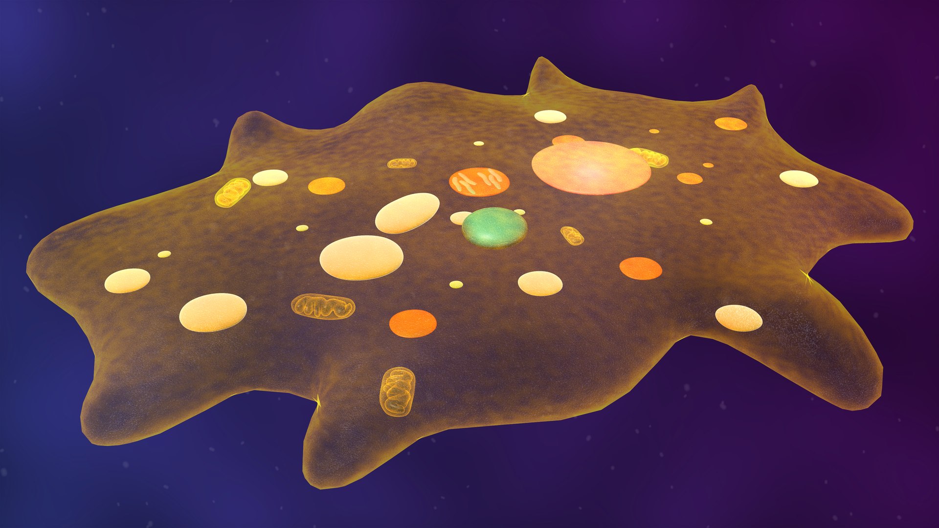 3D Amoeba Unicellular Organism - TurboSquid 2185921